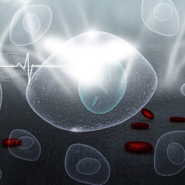 Scientists Create Stem Cells from DNA a Human Skin Cell - The Lab World ...