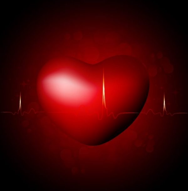 Watch A Stem Cell Grown Heart Beat For The First Time - The Lab World Group