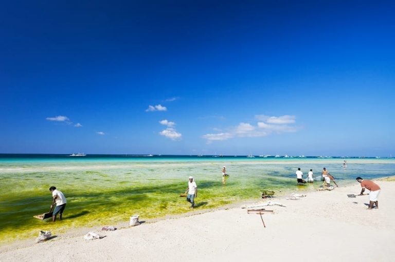 First Ocean Cleaning System - The Lab World Group