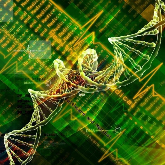 Top Ten Science Discoveries of 2013 (7 Through 10) - The Lab World Group