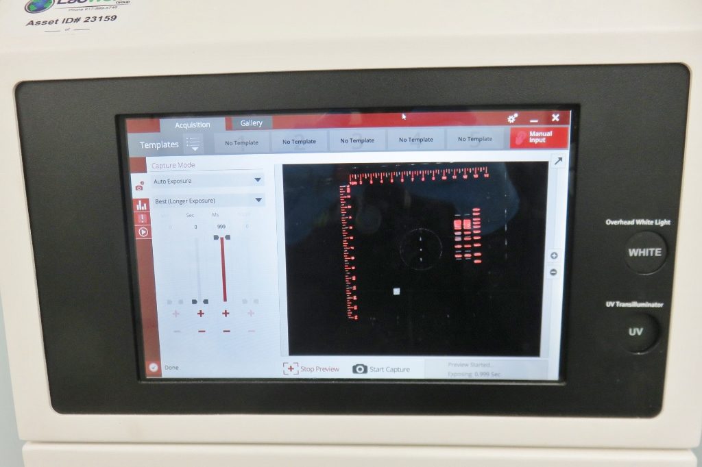 UVP BioDoc It Imaging System - The Lab World Group