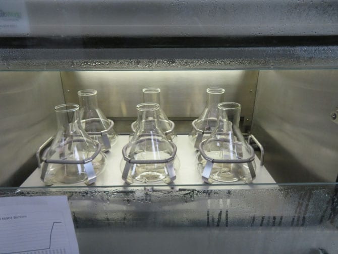 Kuhner ISF-1-W Refrigerated Incubator Shaker