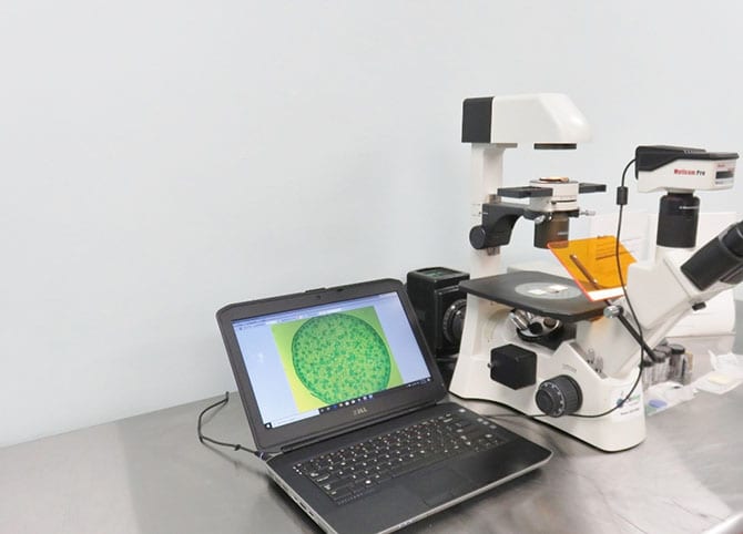 Motic AE31 Inverted Phase Contrast Fluorescence Microscope