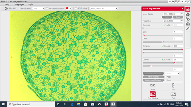 Motic AE31 Inverted Phase Contrast Fluorescence Microscope