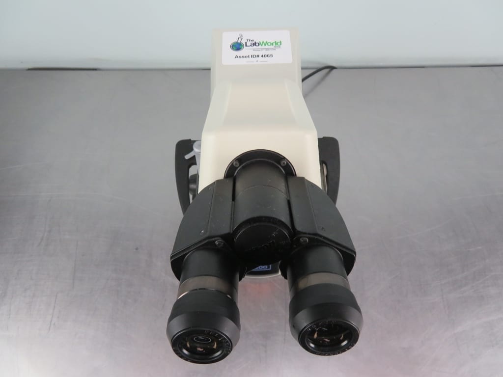 Nikon Eclipse E200 Upright Microscope