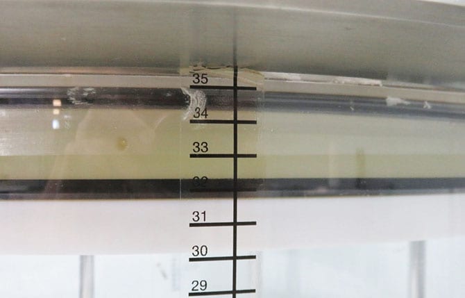 Pall 35L Chromatography Column