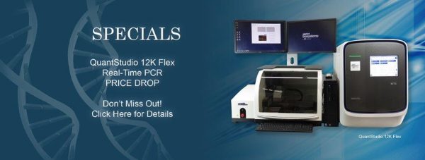 What is Real Time PCR? - The Lab World Group