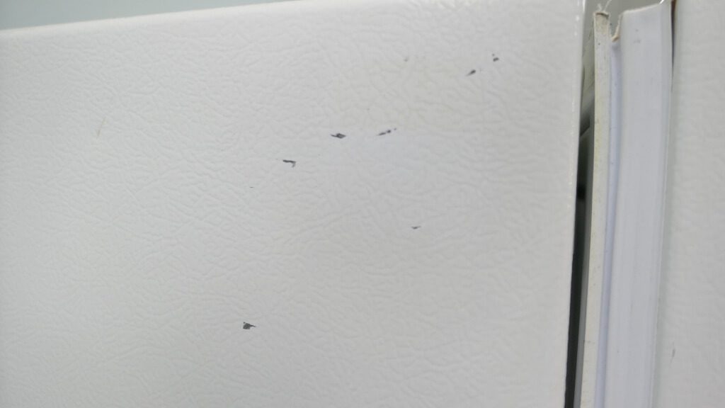 Fisher Scientific Isotemp Explosion Proof Refrigerator