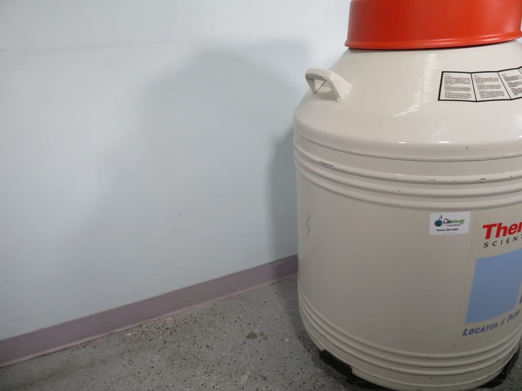Thermo Locator 6 Plus Liquid Nitrogen Dewar