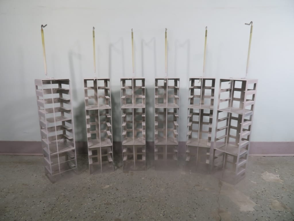 Thermo Scientific Locator 6 LN2 Dewar