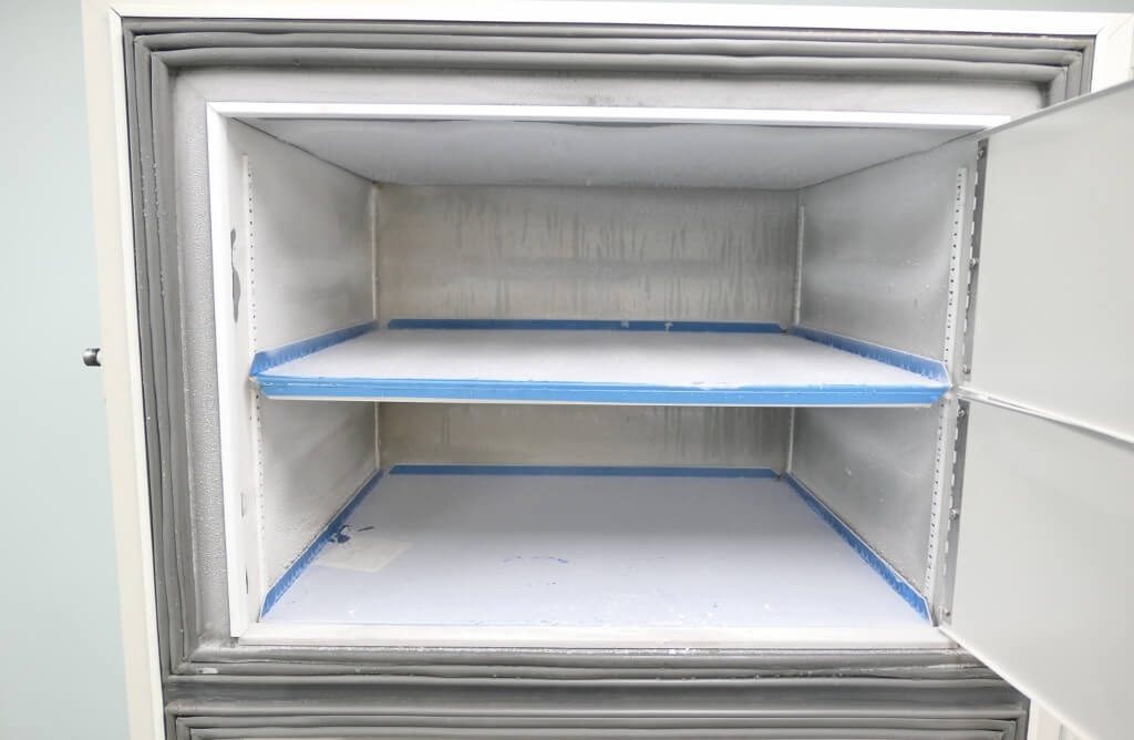 Thermo Freezer Minus 80C - 8695 - The Lab World Group