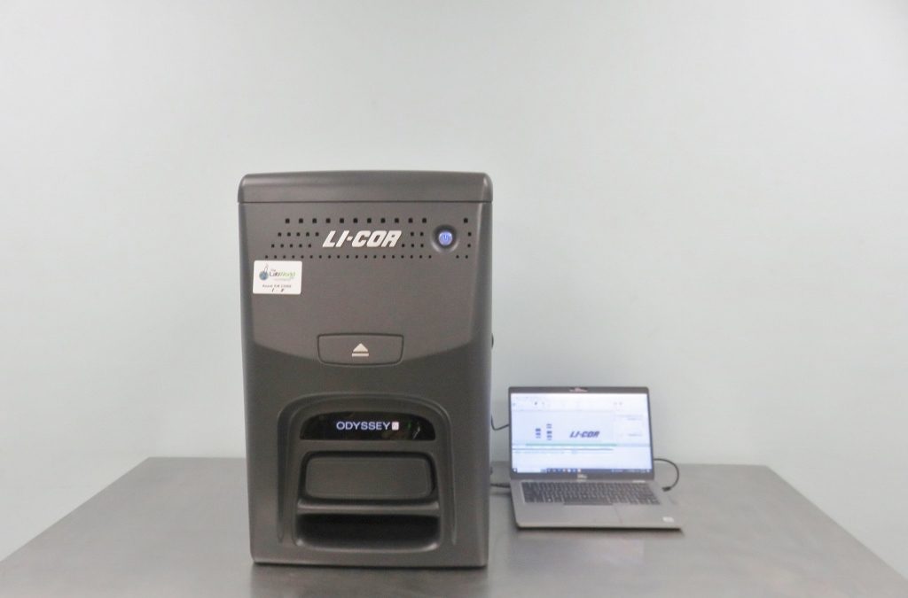Licor Odyssey FC Imaging System - The Lab World Group