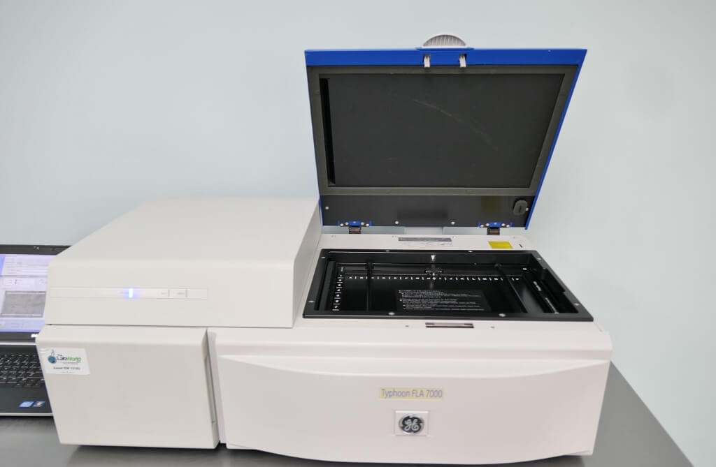 GE Typhoon FLA 7000 Fluorescence Imager