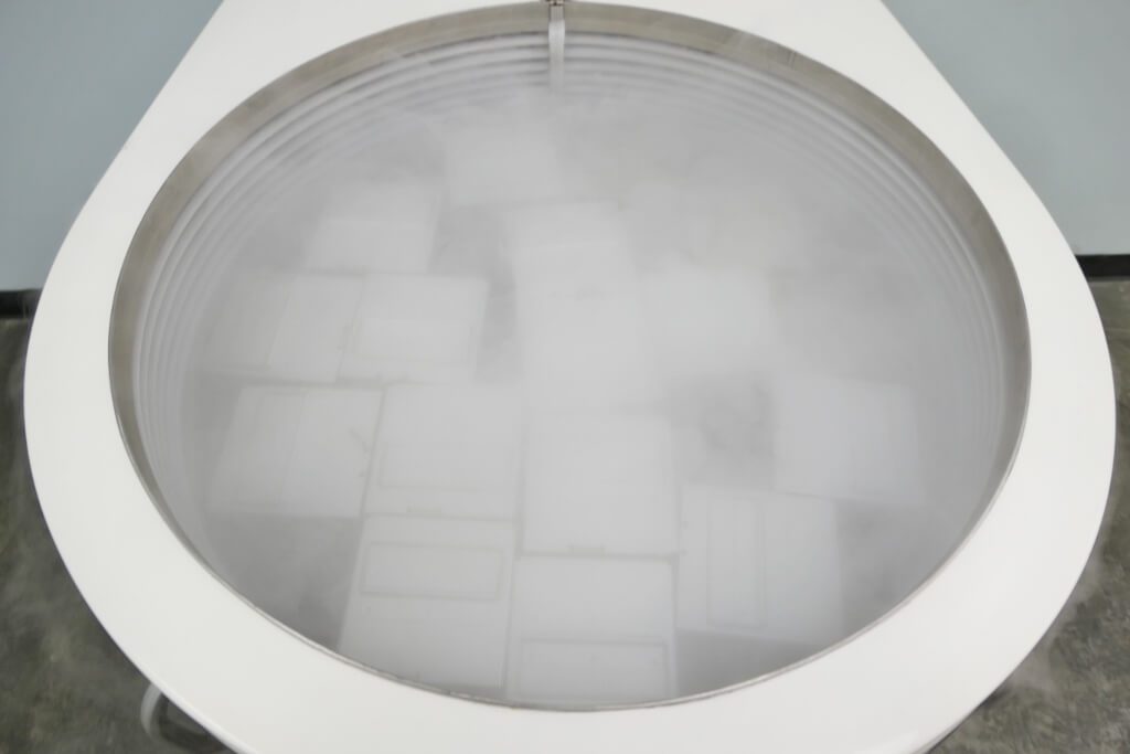 Cryo Biosystems V3000 Liquid Nitrogen Dewar