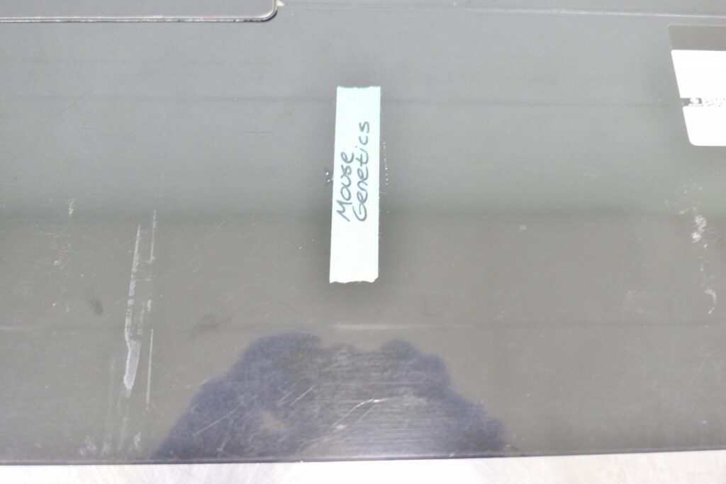 GE Typhoon FLA 7000 Fluorescence Imager