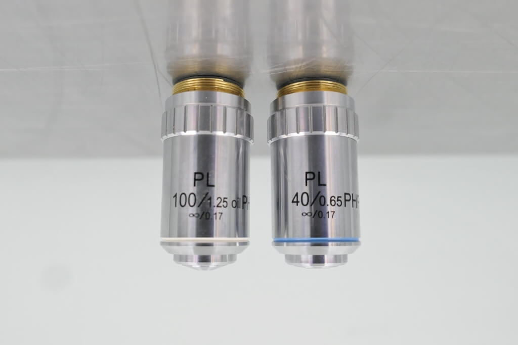 VWR VistaVision Upright Compound Microscope