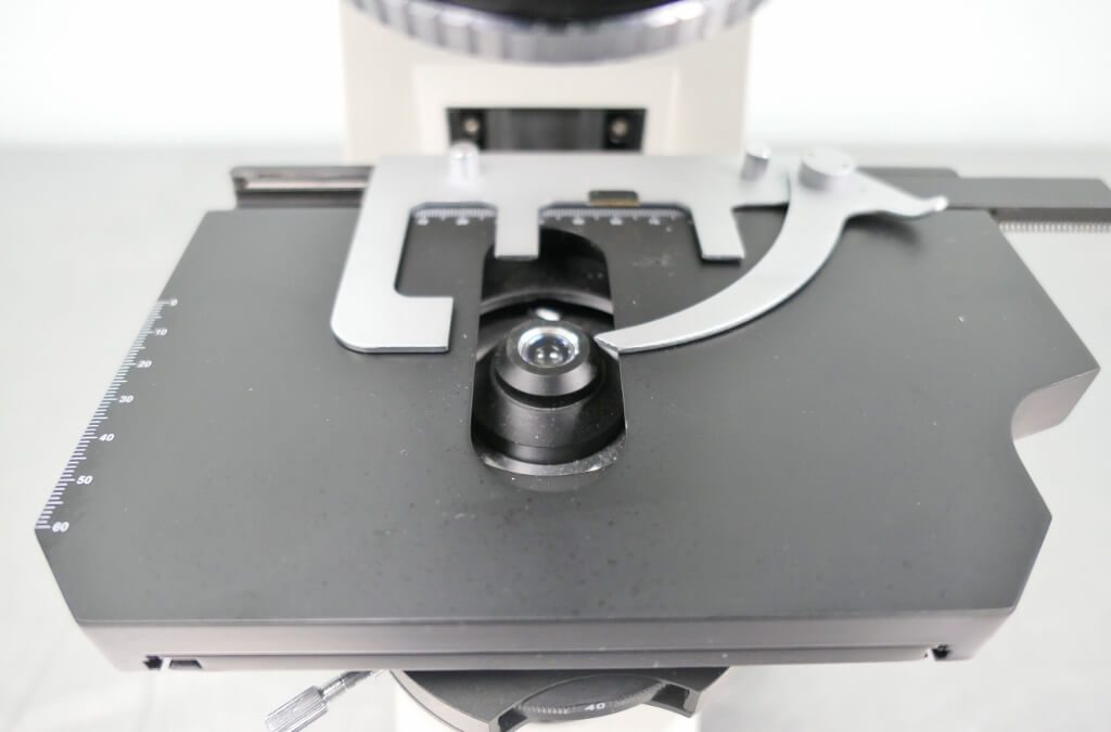 VWR VistaVision Upright Compound Microscope
