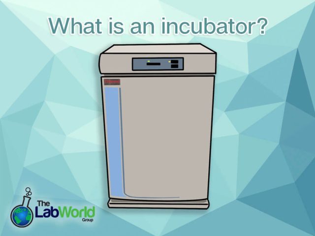 What is an Incubator - The Lab World Group