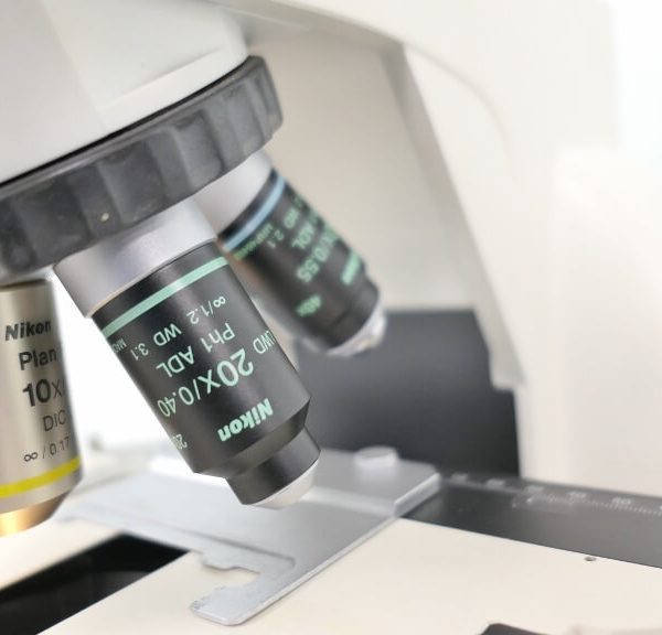 Nikon E400 Microscope