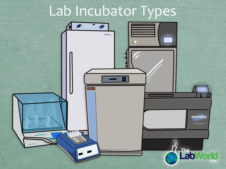 Types Of Laboratory Incubators - The Lab World Group
