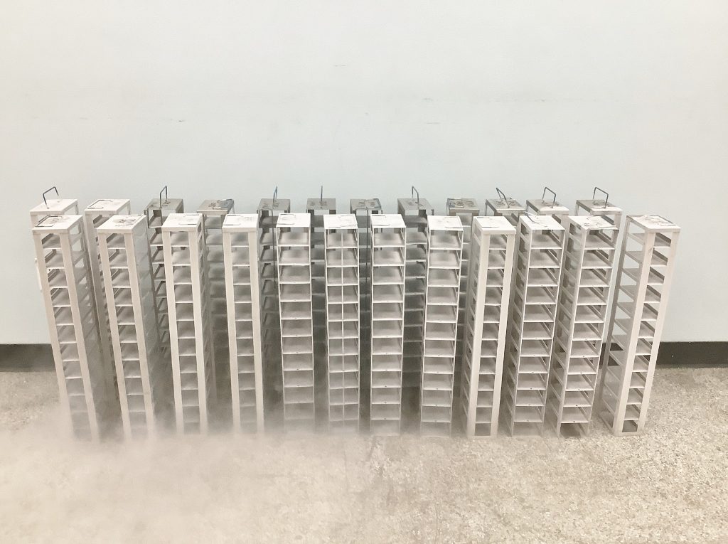 MVE XLC-1200 Liquid Nitrogen Freezer - The Lab World Group