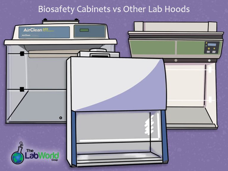Biosafety Cabinet Vs Other Lab Hoods, What’s The Difference?