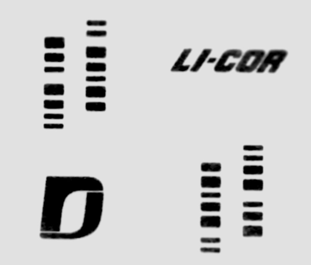 Li-Cor C-Digit Western Blot Scanner - Still in Box