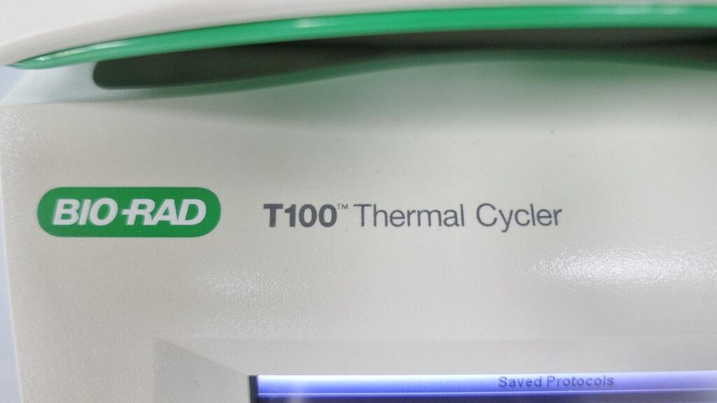 Biorad T100 Thermal Cycler - The Lab World Group