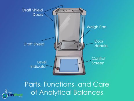 Understanding Parts of a Laboratory Balance and Maintenance - The Lab ...