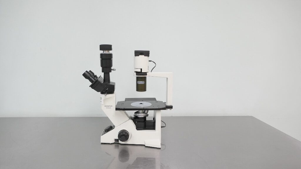 Olympus CK40 Inverted Microscope - The Lab World Group