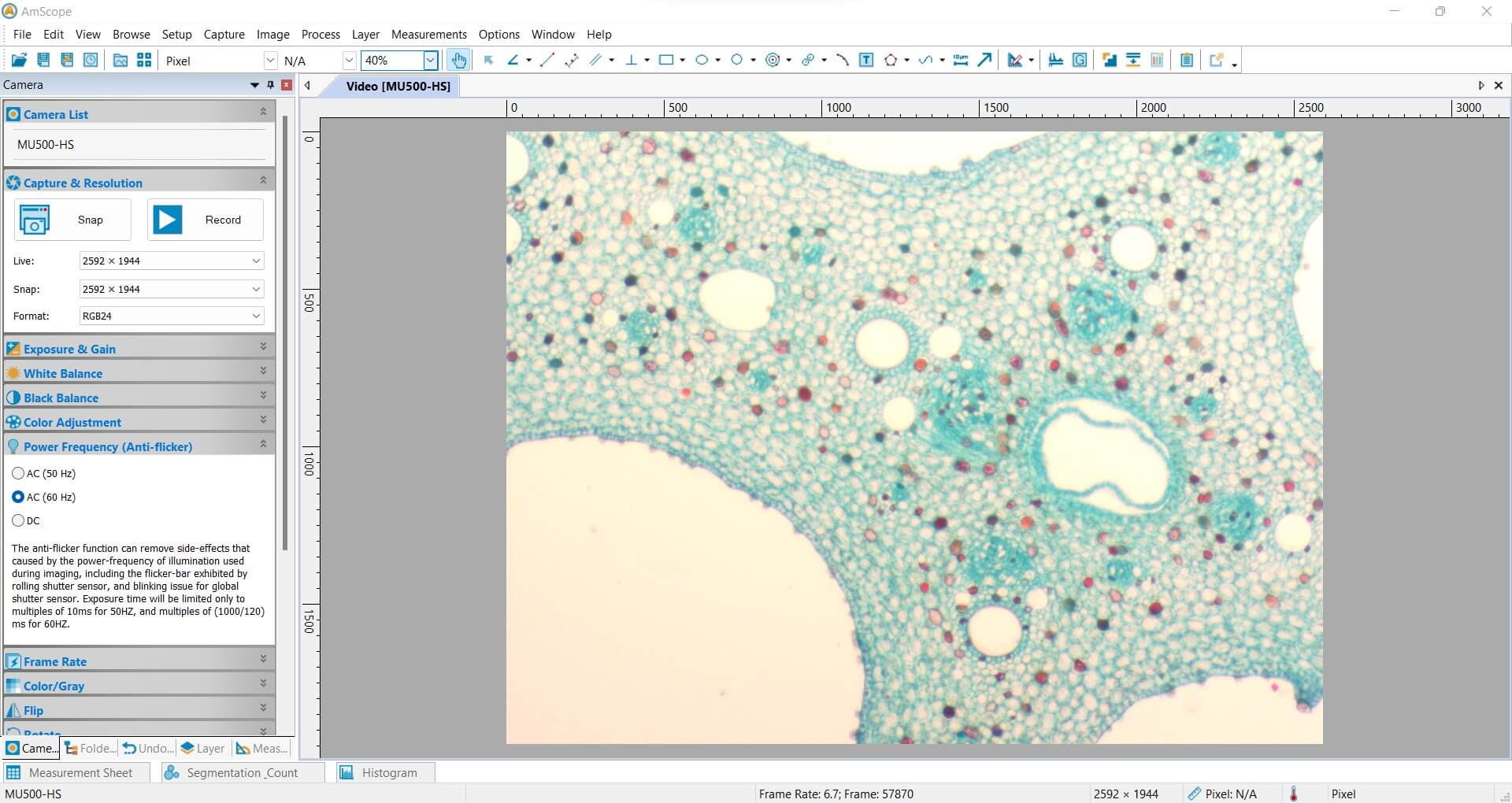 Olympus CK40 Inverted Microscope - The Lab World Group