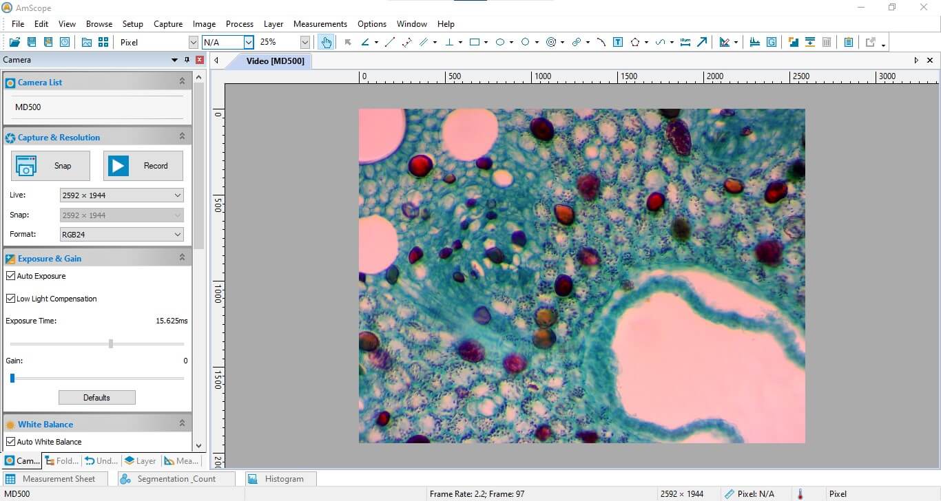 Fisherbrand Research Microscope - The Lab World Group