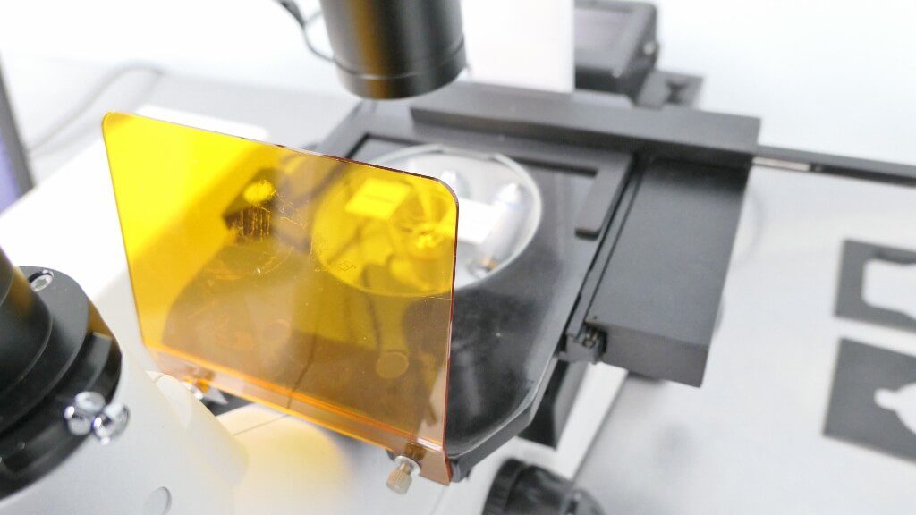 AmScope Fluorescence Microscope - The Lab World Group