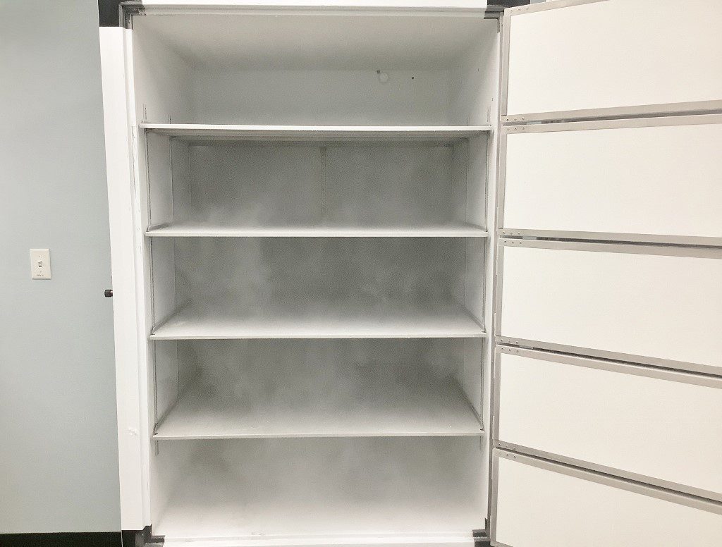 Thermo RDE60086FA Ultra Cold Freezer - The Lab World Group