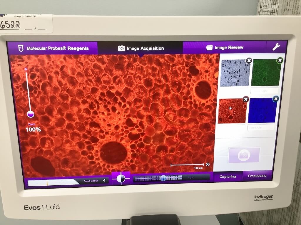 Life Technologies EVOS FLoid Cell Imaging Station