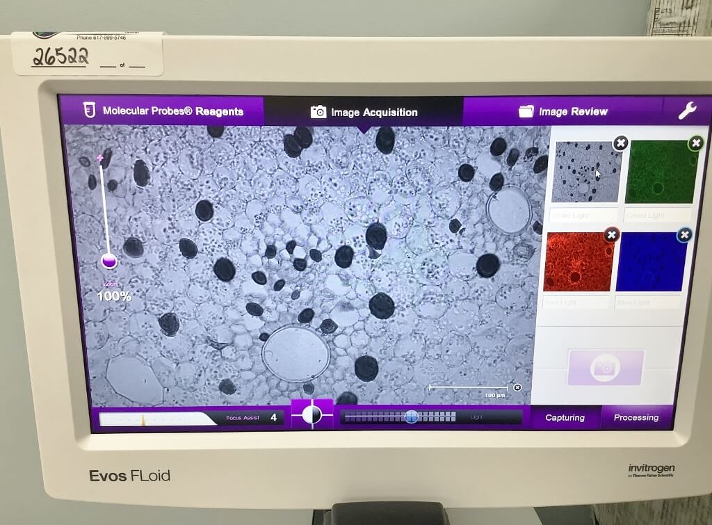 Life Technologies EVOS FLoid Cell Imaging Station