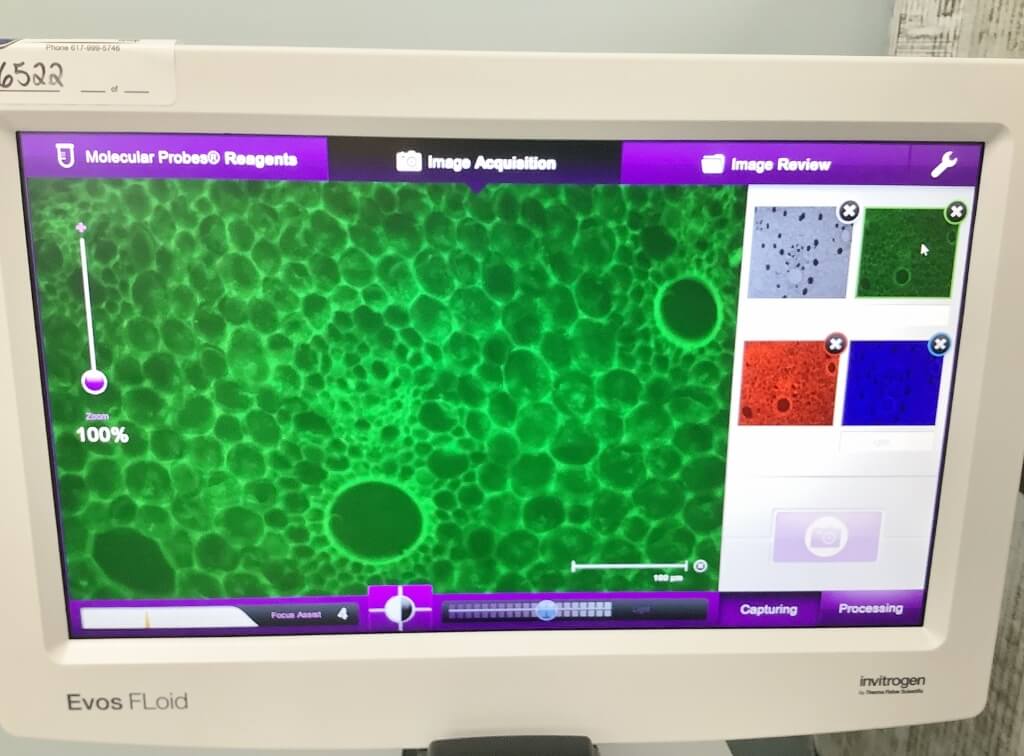 Life Technologies EVOS FLoid Cell Imaging Station