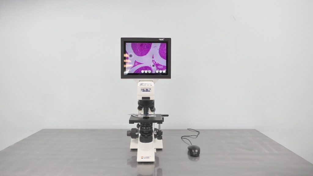 Laxco Microscope SeBa2-BF1 - The Lab World Group