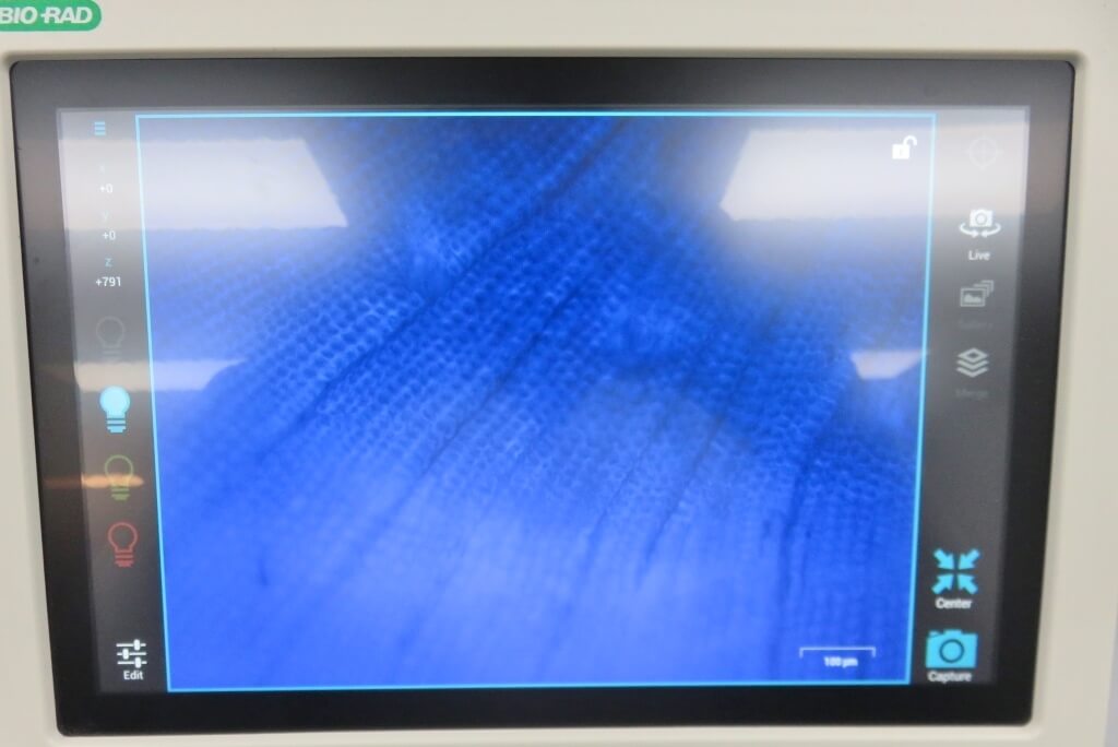 BioRad ZOE Fluorescent Cell Imager - The Lab World Group BioRad ZOE Fluorescent Cell Imager - The Lab World Group