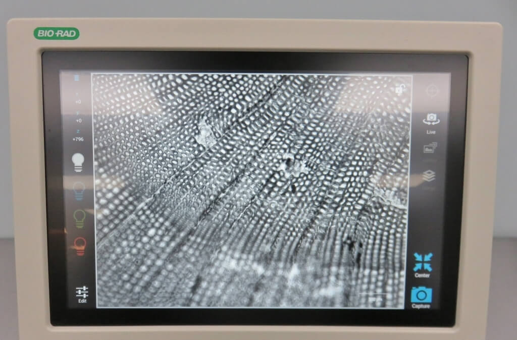 BioRad ZOE Fluorescent Cell Imager - The Lab World Group