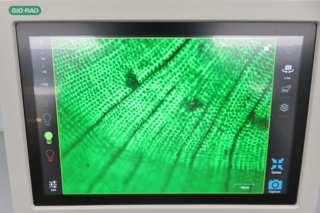 BioRad ZOE Fluorescent Cell Imager - The Lab World Group BioRad ZOE Fluorescent Cell Imager - The Lab World Group