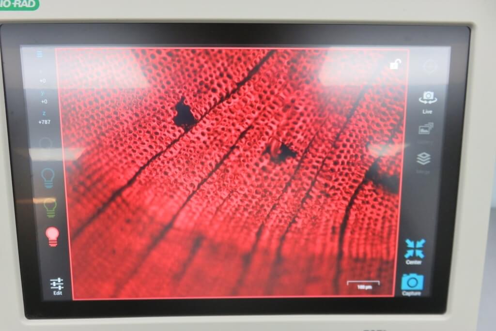 BioRad ZOE Fluorescent Cell Imager - The Lab World Group BioRad ZOE Fluorescent Cell Imager - The Lab World Group