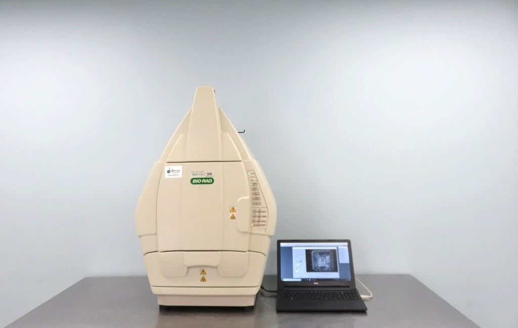 BioRad Gel Doc XR Imaging Systems - The Lab World Group