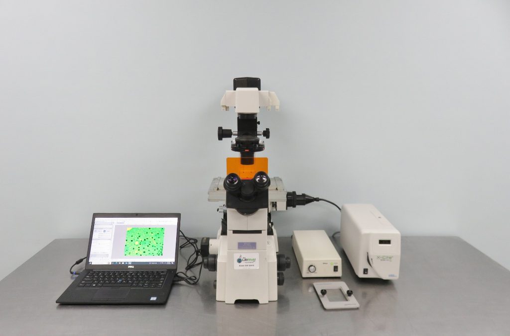Nikon Eclipse TE2000 Fluorescence Microscope - Lab World Group