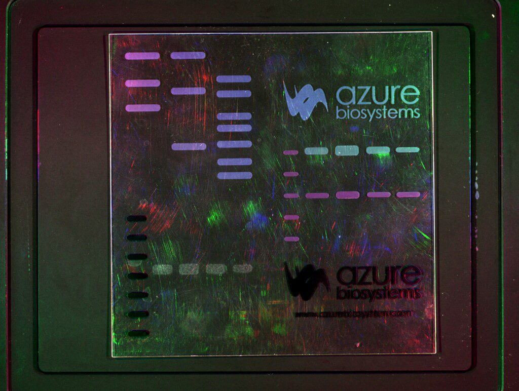 Azure Biosystems 600 Imager - The Lab World Group