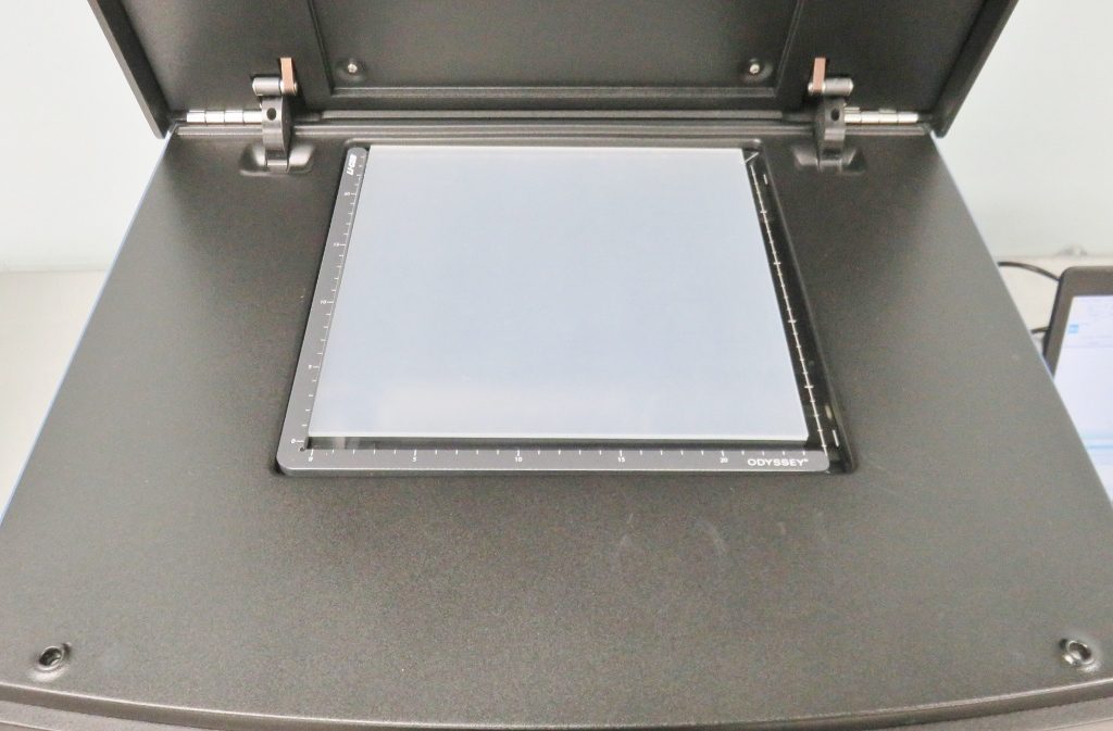 LiCor Odyssey DLx Imager - The Lab World Group