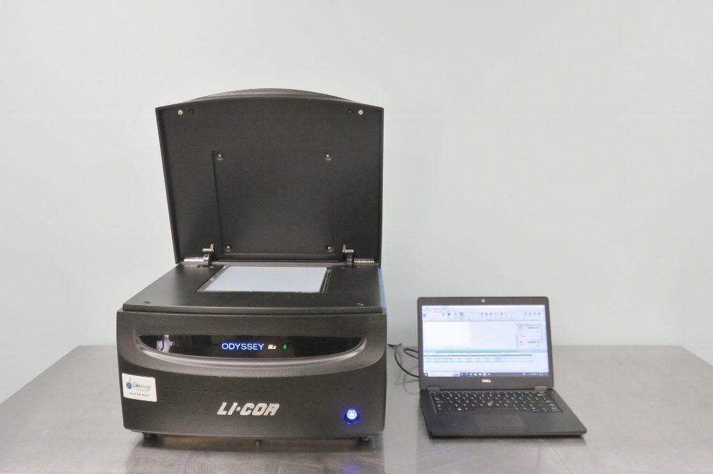 LiCor Odyssey DLx Imager - The Lab World Group