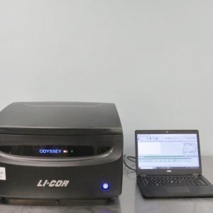 Li-Cor Odyssey CLx Imaging System - The Lab World Group