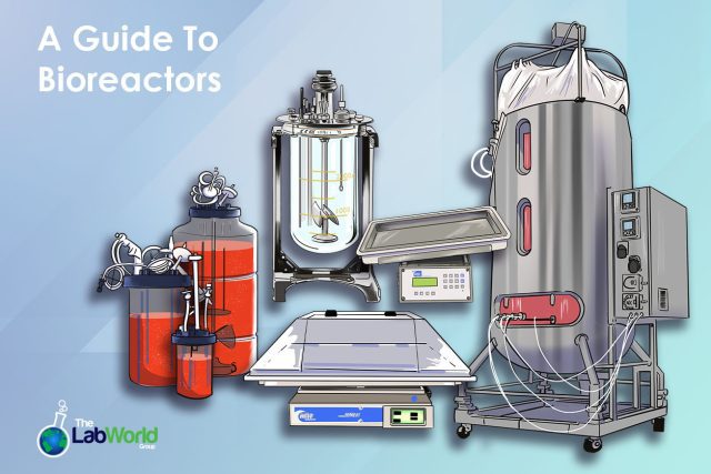 A Guide to Bioreactors - The Lab World Group