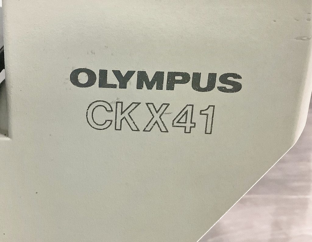 Olympus CKX41 Inverted Phase Contrast Microscope